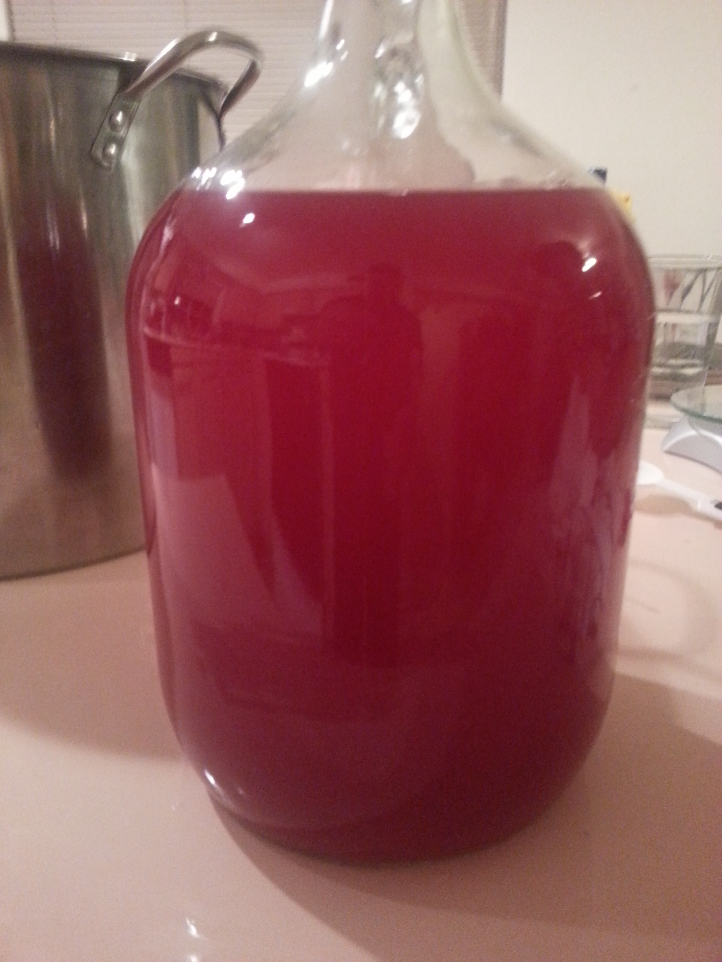 Prickly Pear Wine | Don Dehm